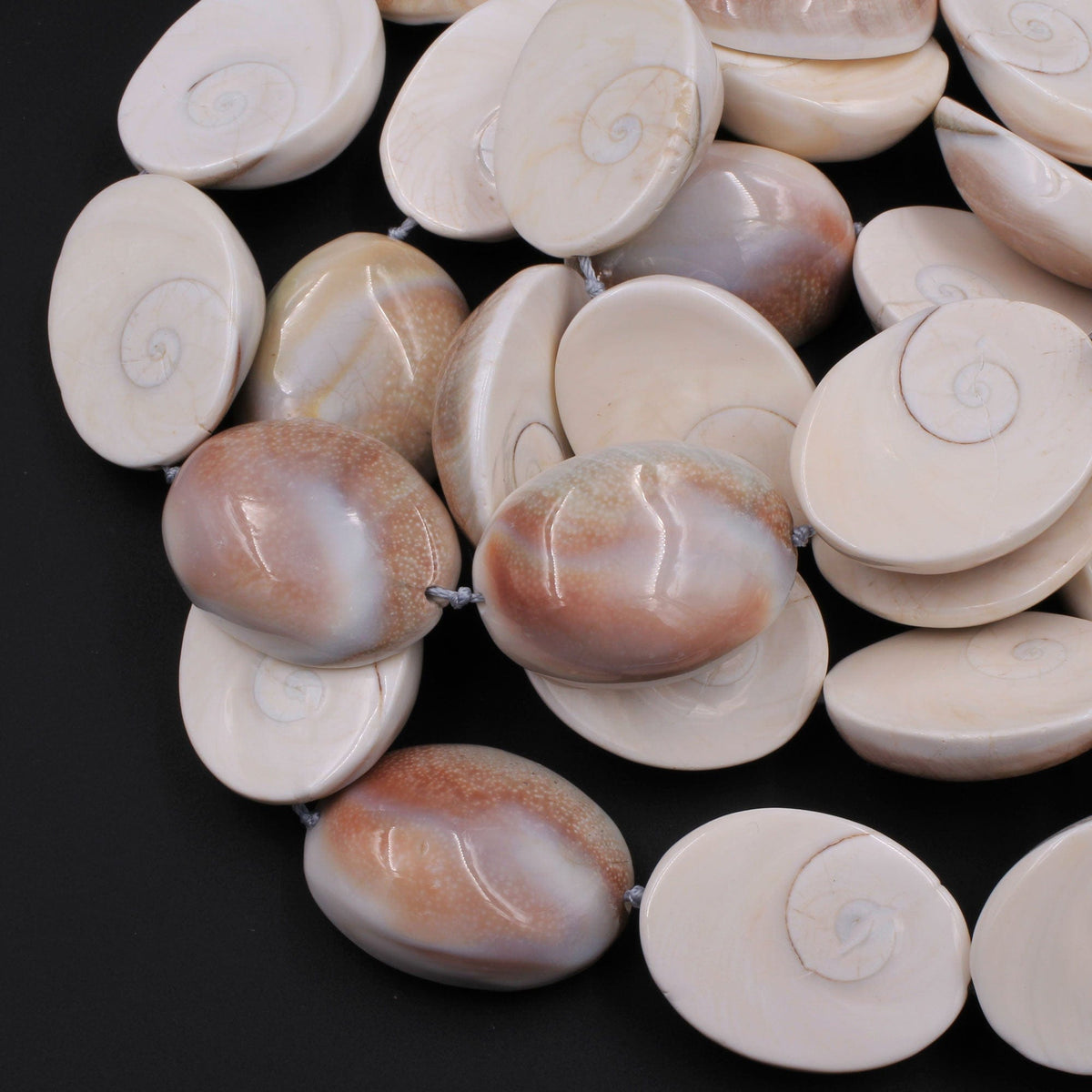 Large Shiva Eye Shell Beads Domed Oval Focal Pendant | Intrinsic Trading