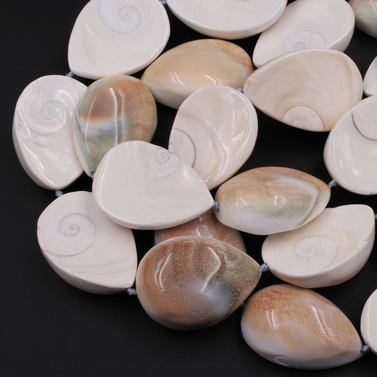 Large Shiva Eye Shell Beads Vertically Drilled Teardrop Focal Pendant ...