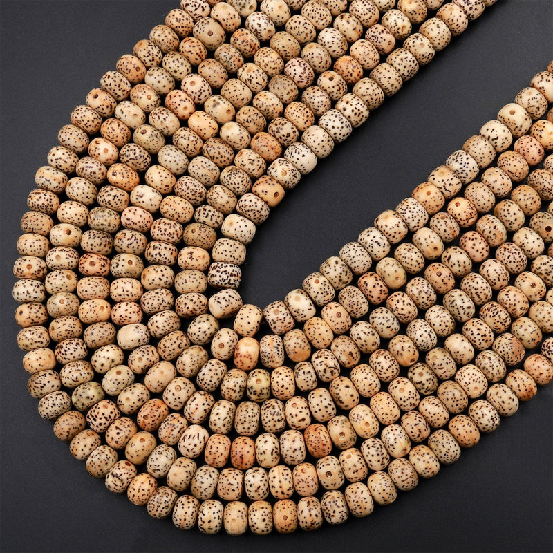 Daemonorops Margaritae Rondelle Beads 6mm 8mm 10mm Bodhi Seed ...