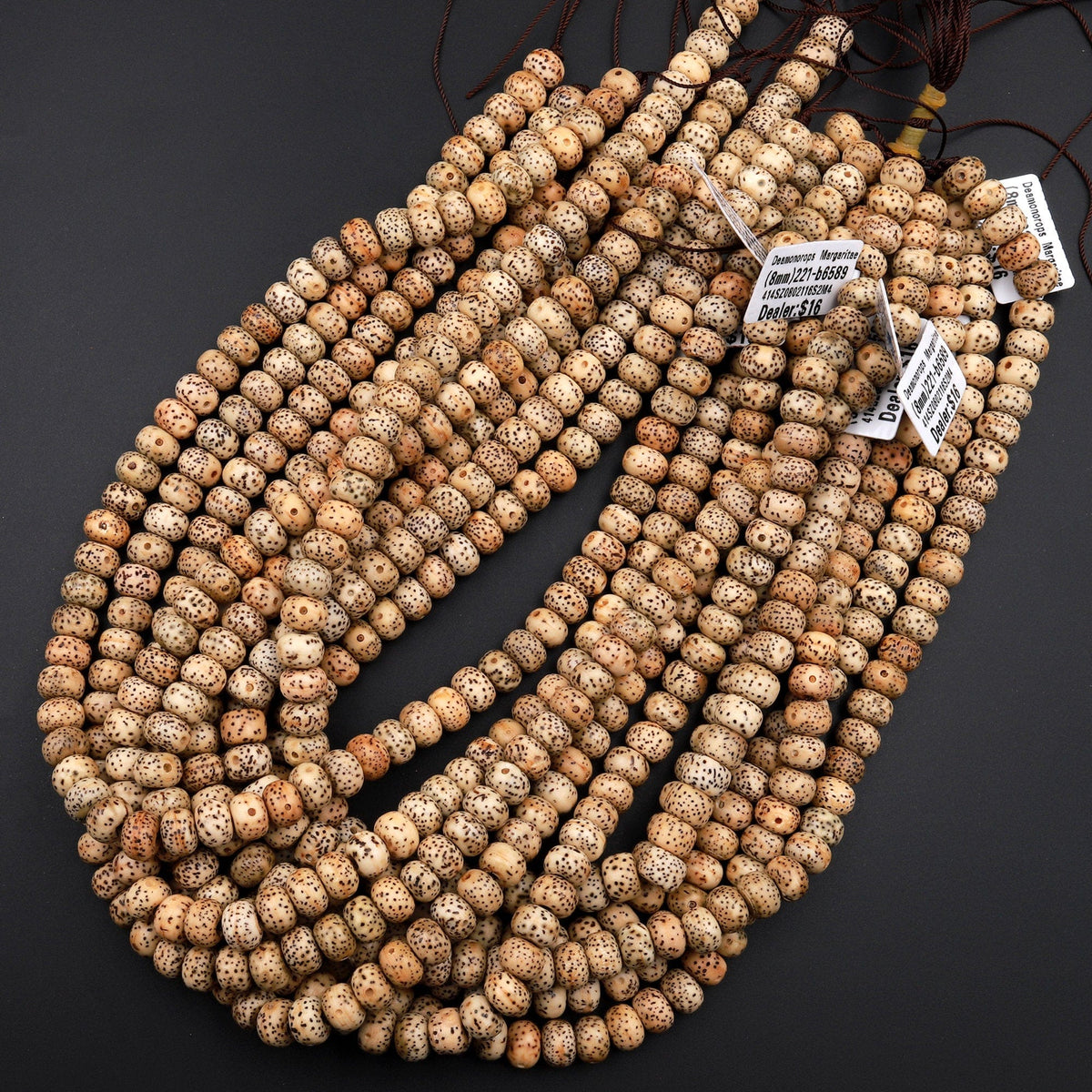 Daemonorops Margaritae Rondelle Beads 6mm 8mm 10mm Bodhi Seed ...