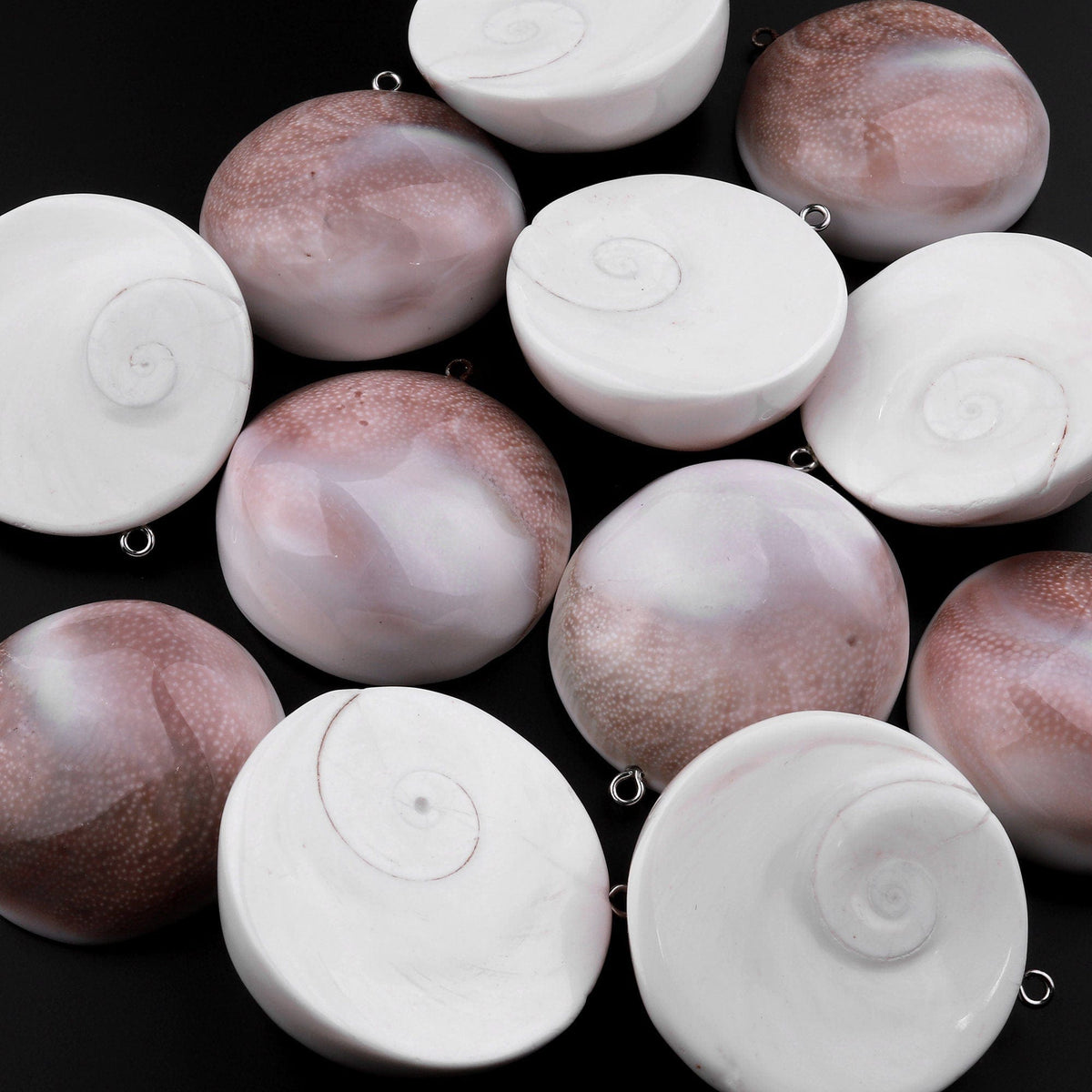 Drilled Shiva Eye Shell Circle Round Pendant Natural Fossil Domed Mauv ...
